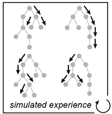 Publications | Bishop Lab